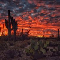 10 Safest Neighborhoods in Tucson (2026 Updated)