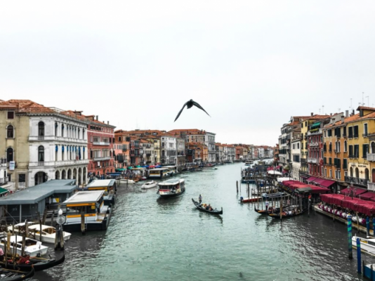 Is Cork Safe for Travel RIGHT NOW? (2026 Safety Rating)