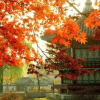 10 Most Beautiful Castles in South Korea (2026 Updated)