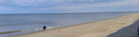 10 Best Beaches in Delaware (2025 Updated)