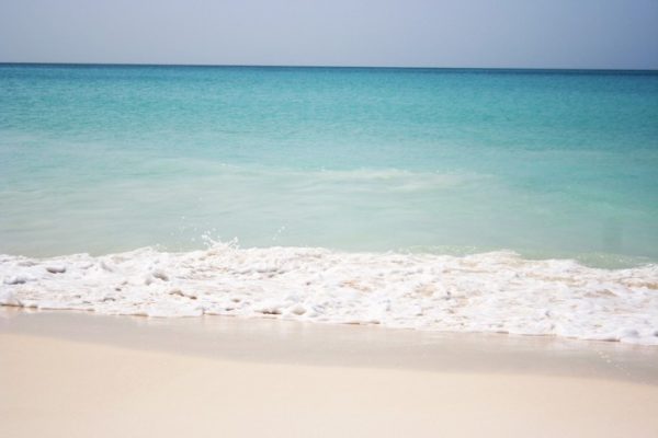 Are There Sharks in Aruba? (2025 Updated)