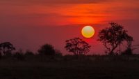 12 Safest Countries in Africa for Safe Solo Traveling (2026 Updated)