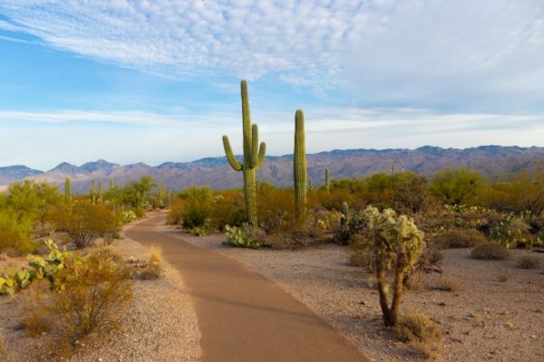 Is Tucson Safe for Travel RIGHT NOW? (2026 Safety Rating)