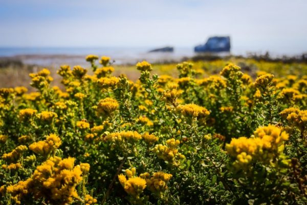 Is California Safe for Travel RIGHT NOW? (2024 Safety Rating)