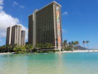Free Hawaii Coloring Pages for Download (Printable PDF)