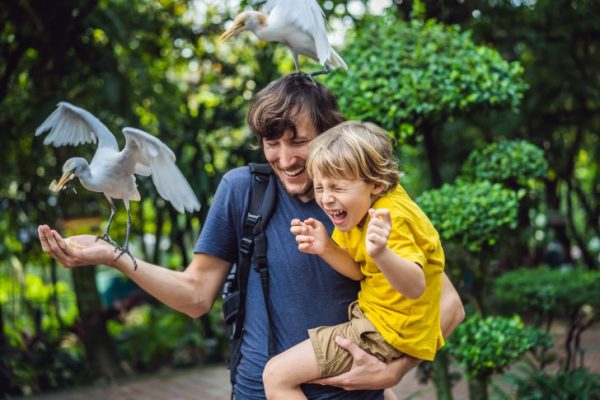 Zoos & Aquariums Articles (2026 Updated) ⋆ Travel Safe - Abroad