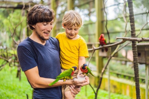 Zoos & Aquariums Articles (2026 Updated) ⋆ Travel Safe - Abroad