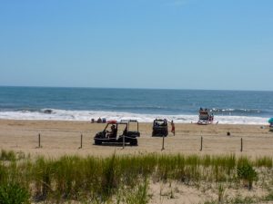 10 Best Beaches in Delaware (2026 Updated)
