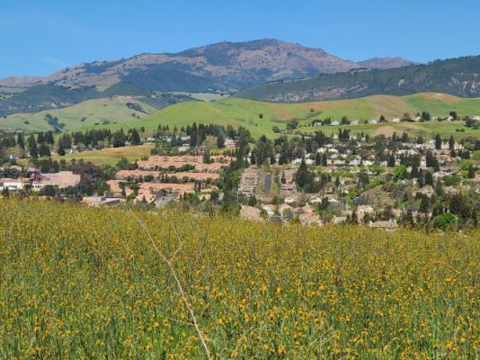 9 Safest Cities in the Bay Area (2026 Updated)