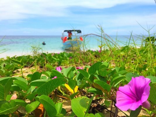 11 Best Beaches in Panama (2026 Updated)