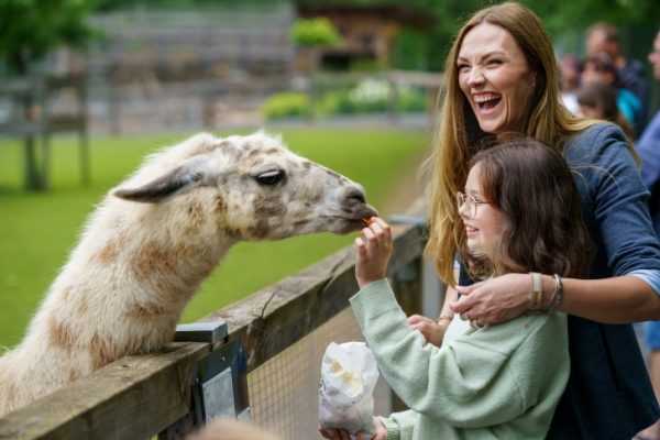 Zoos & Aquariums Articles (2026 Updated)⋆ Page 2 of 5 ⋆ Travel Safe ...