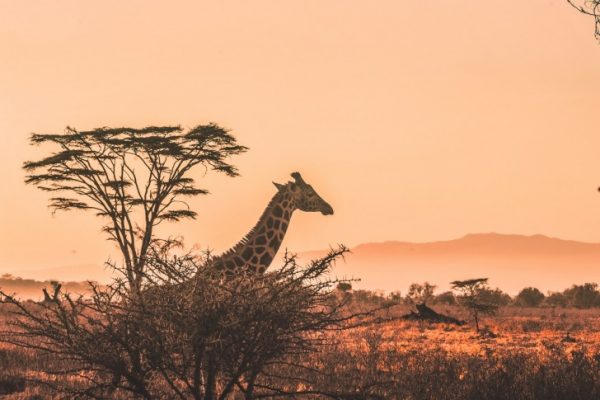 Is Madagascar Safe for Travel RIGHT NOW? (2025 Safety Rating)