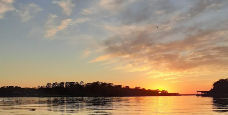 Are There Alligators in Lake Conroe? (2026 Updated)