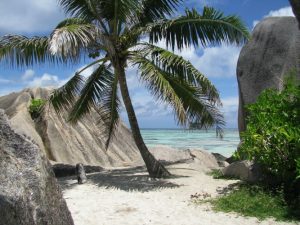 12 Safest Countries in Africa for Safe Solo Traveling (2026 Updated)